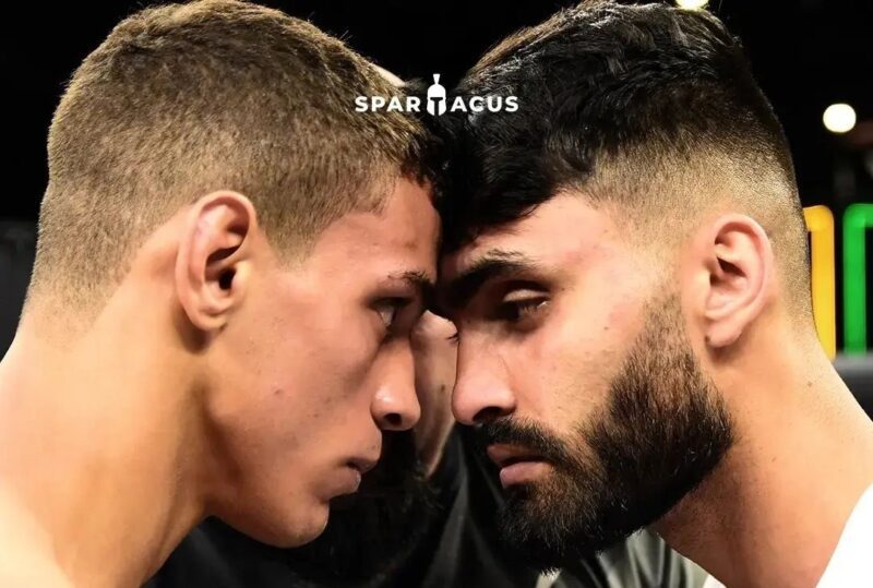 News, Tips, and Guides for Beginner MMA Fighters - Spartacus